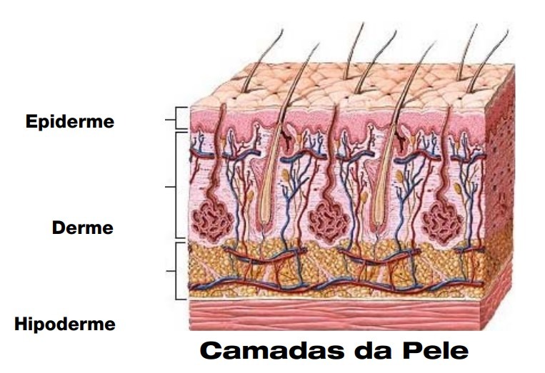 O que é uma Cicatriz Patológica “Ativa”. - Clínica Fortius